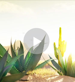 Solibra, Société de Limonaderies et de Brasseries d'Afrique