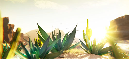 VALPIERRE / Nouvelle étiquette, nouvelle capsule, même goût. - Solibra